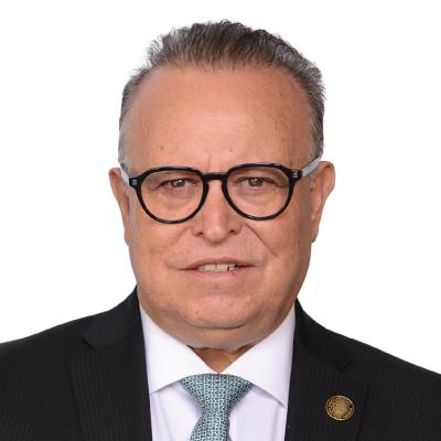 Partido Verde Ecologista de México